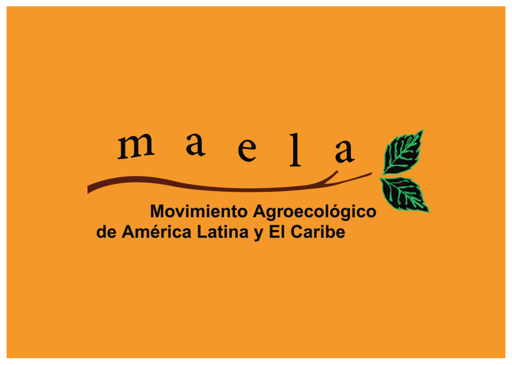 BIODIVERSIDAD Y SEMILLAS – MAELA