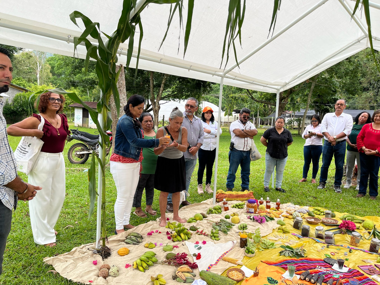 ASAMBLEA DE MAELA MESOAMÉRICA 2025: “RAÍCES LOCALES, FUTURO GLOBAL” – MAELA